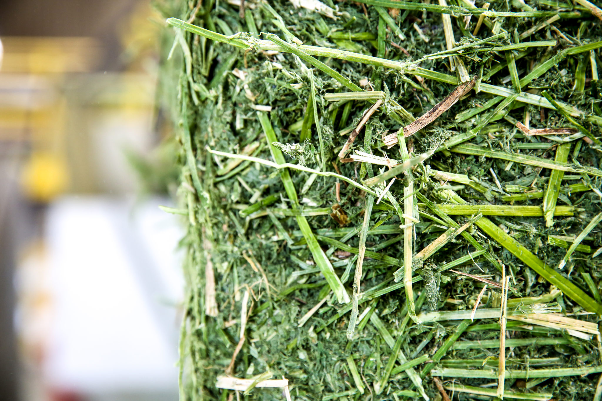 Accueil - Vente et achat de luzerne